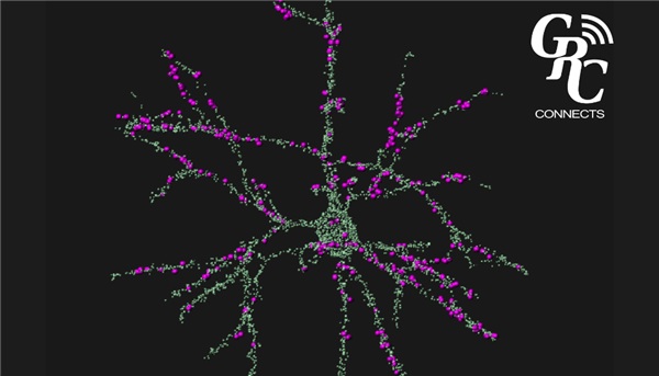 Gordon Research Conferences