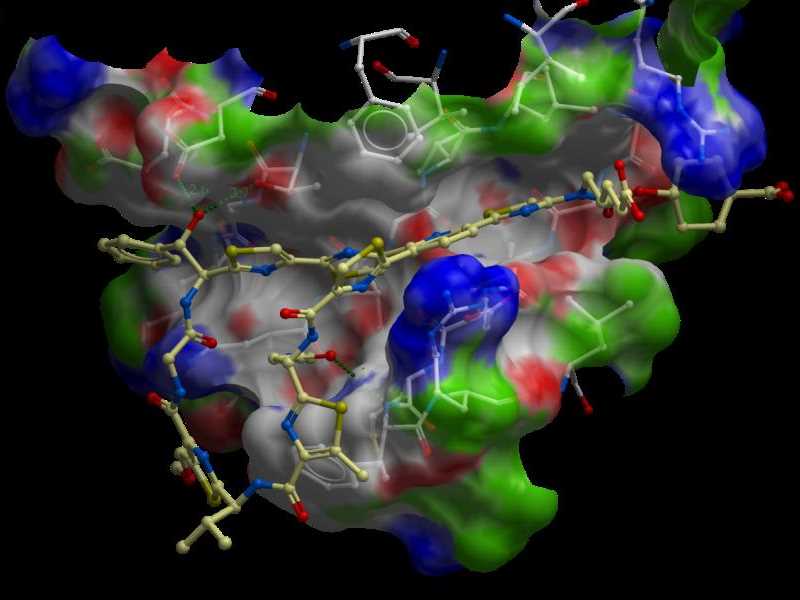 2019 Natural Products and Bioactive Compounds Conference GRC