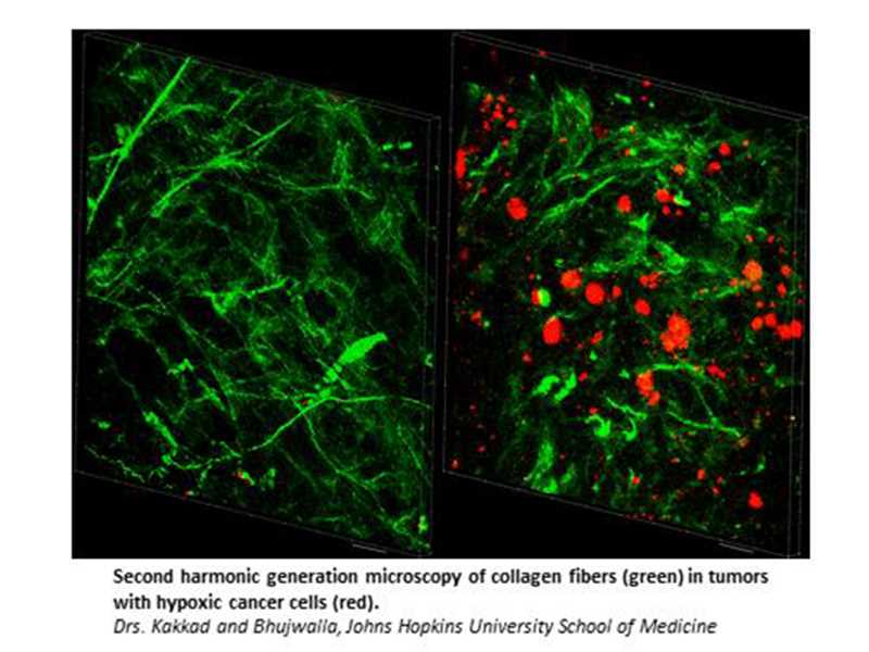 2019 Tissue Microstructure Imaging Conference GRC